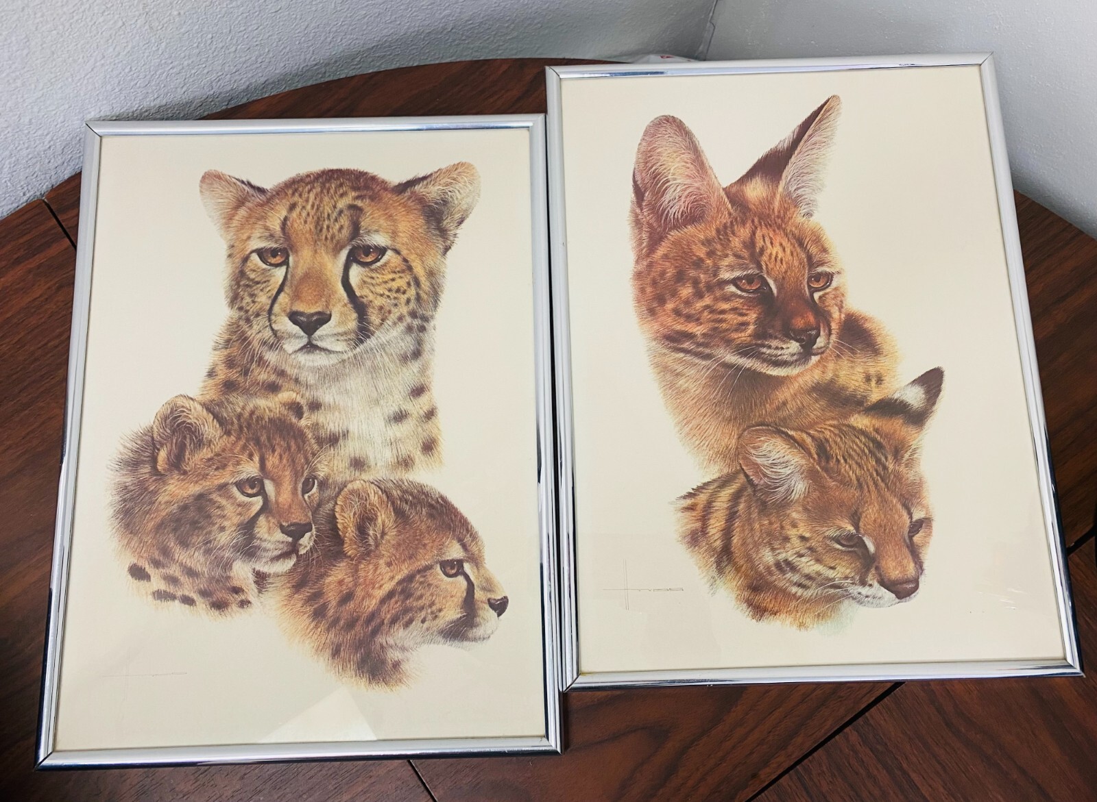 Vintage Marsel Mirror - Cheetah Big Cat - Brooklyn, NY Style #1216 Set ...