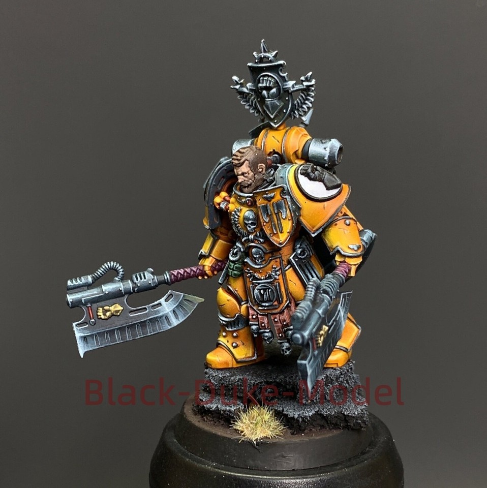 Warhammer 40K Fafnir Rann Space Marines Imperial Fists Presale Painted ...