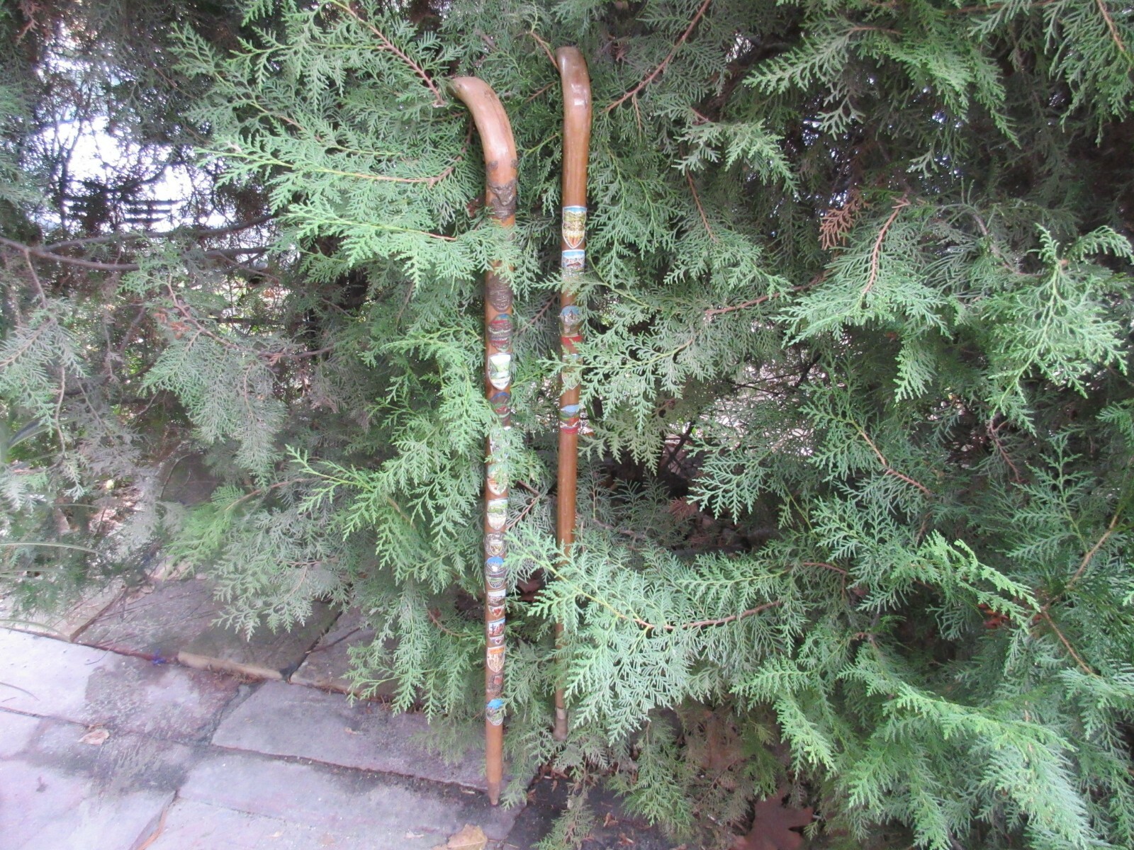 VTG TWO GERMAN TRAVEL WALKING HIKING STICK CANE WITH BADGES MEDALS ...