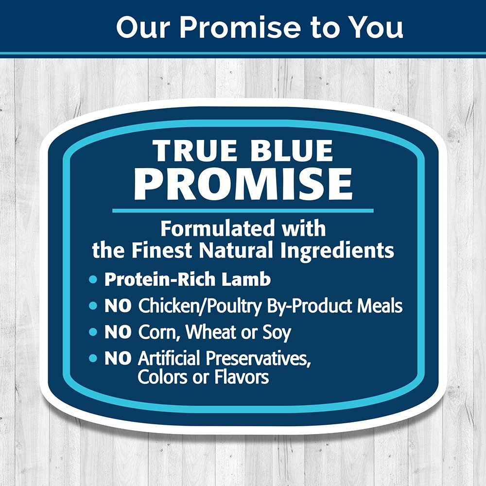 BLUE Life Protection Formula Adult Dry Dog Food | eBay