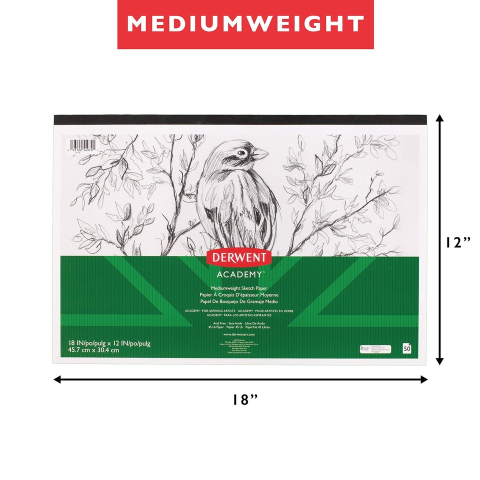 Academy Sketch Paper Pad, 50 Sheets, 18" x 12", Mediumweight (54974) | eBay
