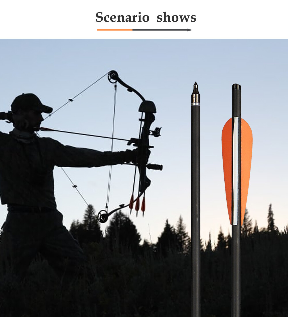 20 inch Crossbow Bolts OD8.8mm Archery Hunting Carbon Arrows with Half ...