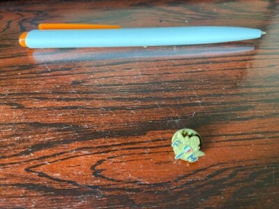 Federation International of Motorcycle FIM pin | eBay