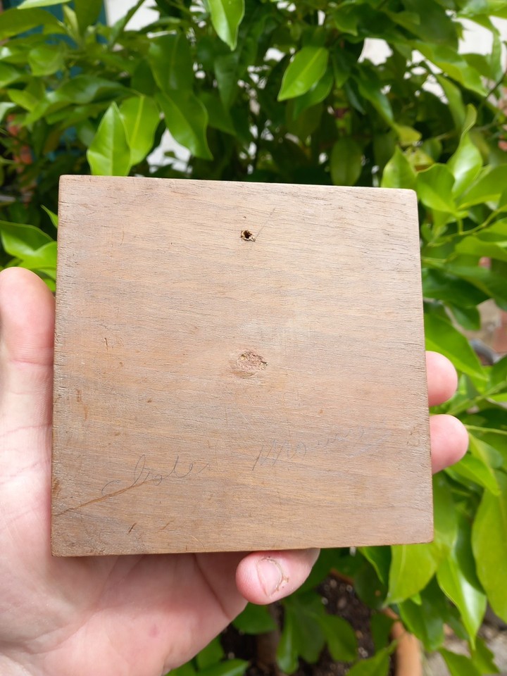 Charles Maurras Académie Française Profil Terre Cuite Rodier XXe | eBay