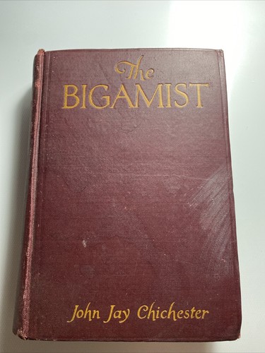 Antique Book 1925 The Bigamist John Jay Chichester abt | eBay.de