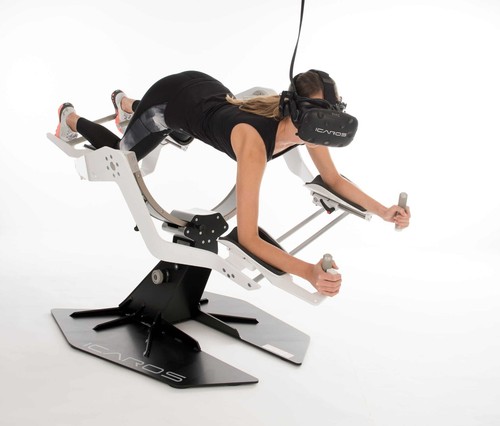 icaros Flight Simulator - Training or Rehabilitation simulator | eBay UK