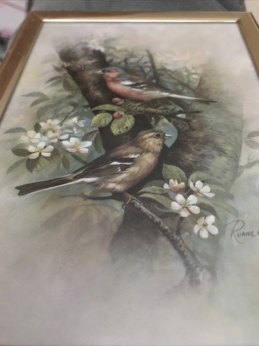 Ruane Manning - Birds - Print - Trees - Flowers Signed - Blossoms - Art ...