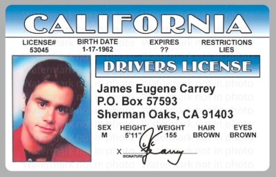 Jim Carrey Ace Ventura Pet Detective License Card Novelty ID | eBay