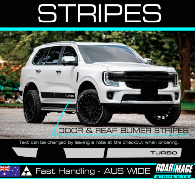 AM SIDE DOOR & REAR BUMPER stripes decals stickers fits 2022 - 2023 ...