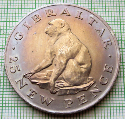 GIBRALTAR 1971 25 PENCE CROWN, MACAQUE BARBARY APE Monkey, UNC Toned km ...