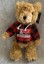 Atlanta Falcons Plush Bear 12” Plush Teddy In Hoodie NFL Football Good ...