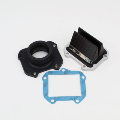 Reed Valve Double Prism CARBON FIBER reeds ROTAX MAX 125 ITALKIT DD2 | eBay