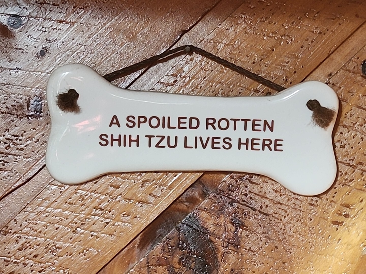 A Spoiled Rotten SHIH TZU Lives Here Dog Bone Sign Smoky Mountain ...