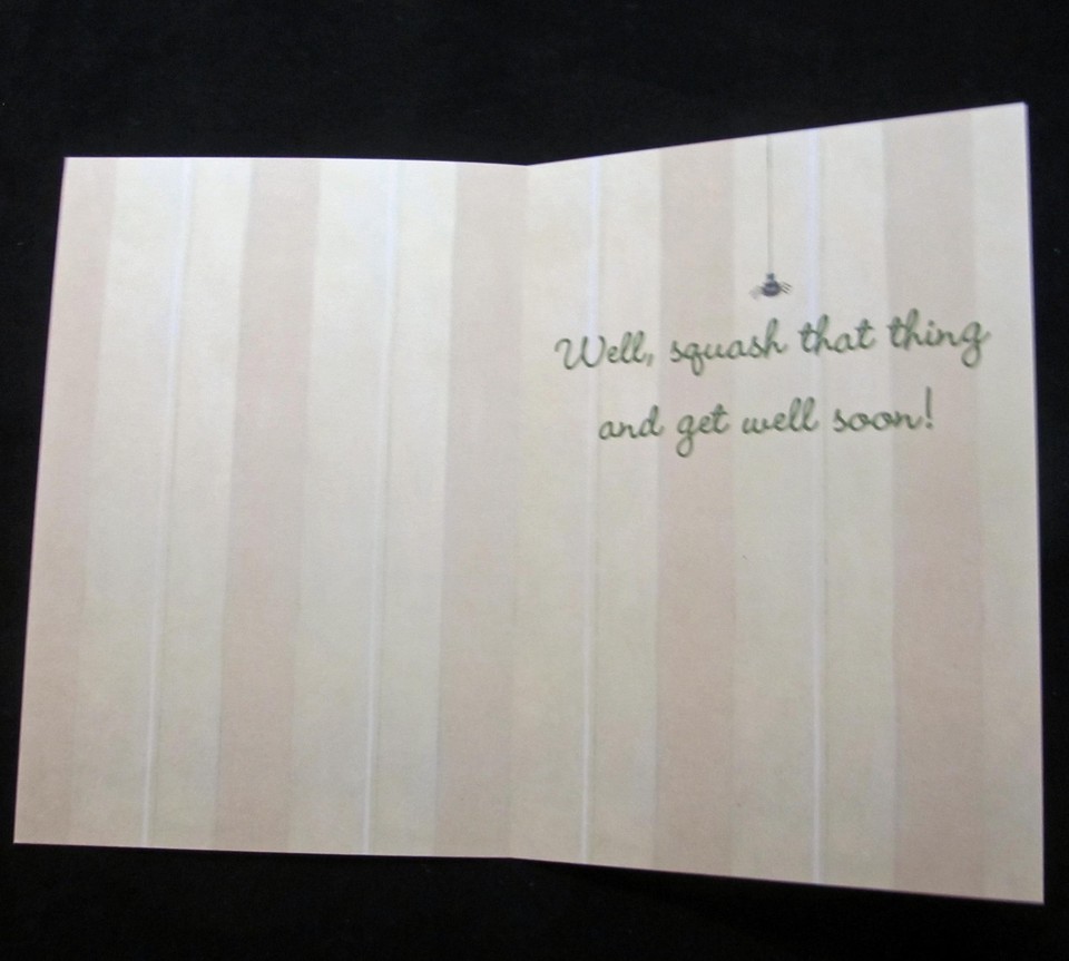 Leanin Tree Get Well Feel Better Gary Patterson Greeting Card Multi ...