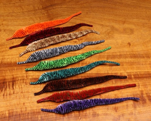 Mangum's Variegated Mini Dragon Tail | eBay