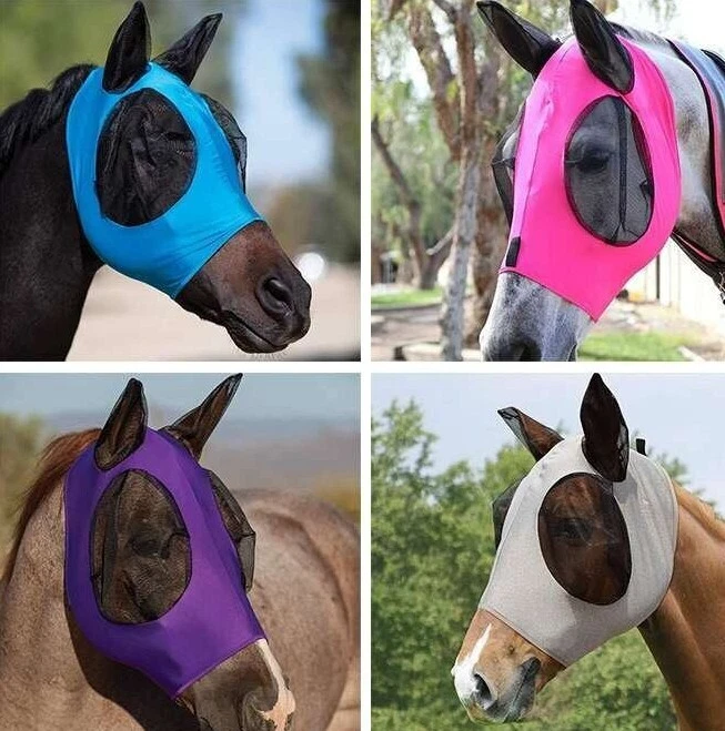Horse Eye Cover