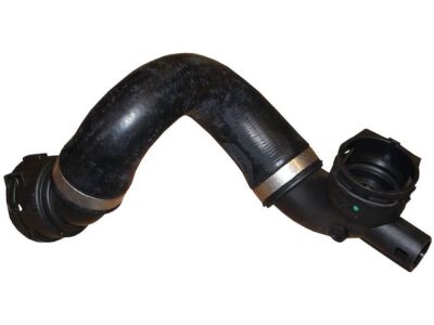 Lower - Radiator To Thermostat Radiator Hose For 2006 BMW 323i CC348FJ ...