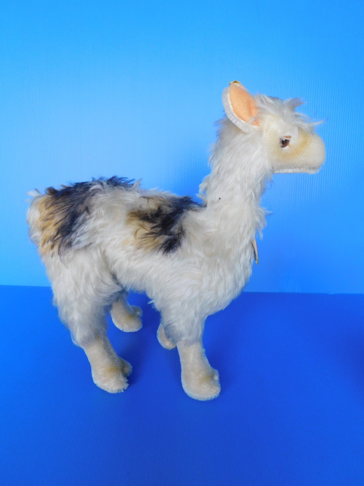 STEIFF Plush Circus Or Animals Wild Grand Lama Very Beautiful Piece | eBay