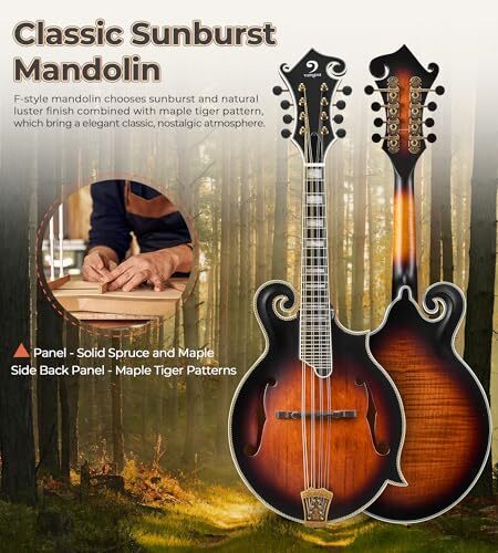 F-Style Mandolins Instrument, Solid Spruce and Maple, F-Style Classic ...