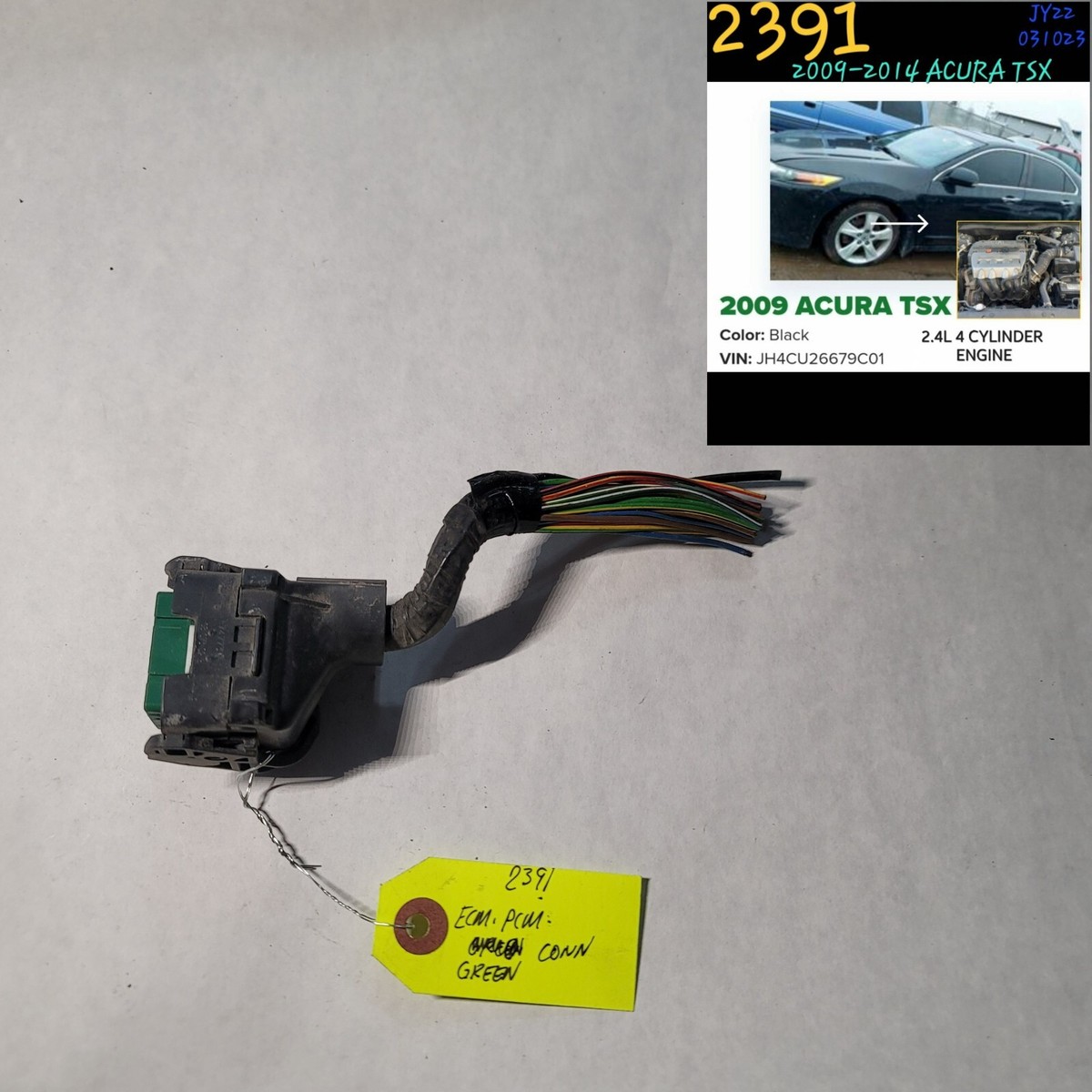 Green Tsx How TerrAscend Successfully Listed On TSX Trade To Black