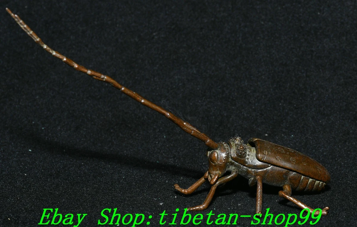 Cockroach Sculpture