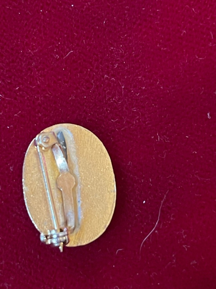 Unidentified Oval Gold Tone Black Enamel FSB Lapel Hinge Pin .65" | eBay