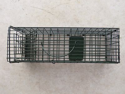 Duke Cage/Live Trap 16"x5"x5" #1100 Trapping Squirrel Chipmunk Rat | eBay