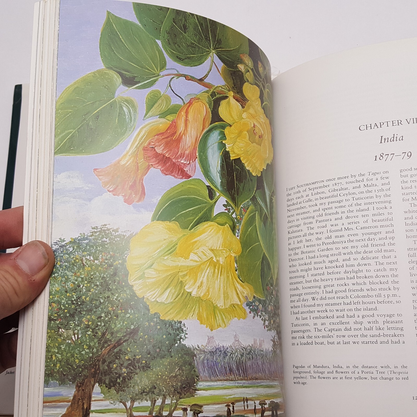 Vision of Eden: The Life and Work of Marianne North Royal Botanical ...