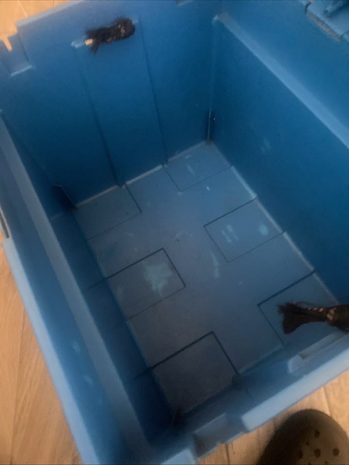 Shakespeare Beta Fishing Box - Sea Fishing / Bait Box? | eBay UK