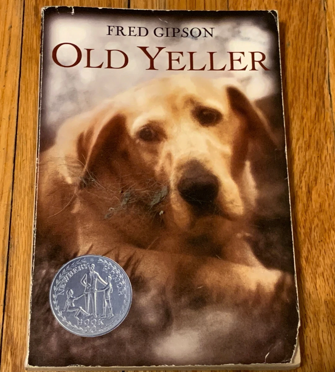 Old Yeller Book