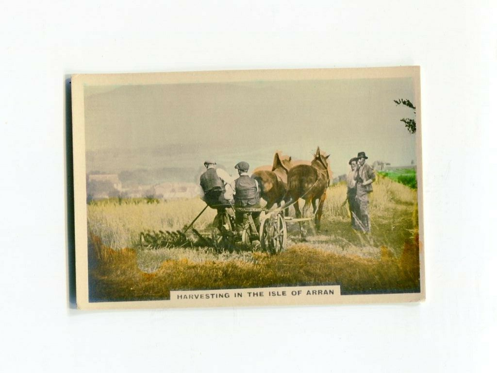 1924 THE HOMELAND SERIES CAVENDERS LTD CIGARETTES #28 HARVESTING ISLE ...