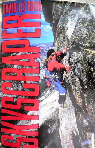 RARE DAVID LEE ROTH VAN HALEN SKYSCRAPER 1988 VINTAGE ORIG MUSIC PROMO ...