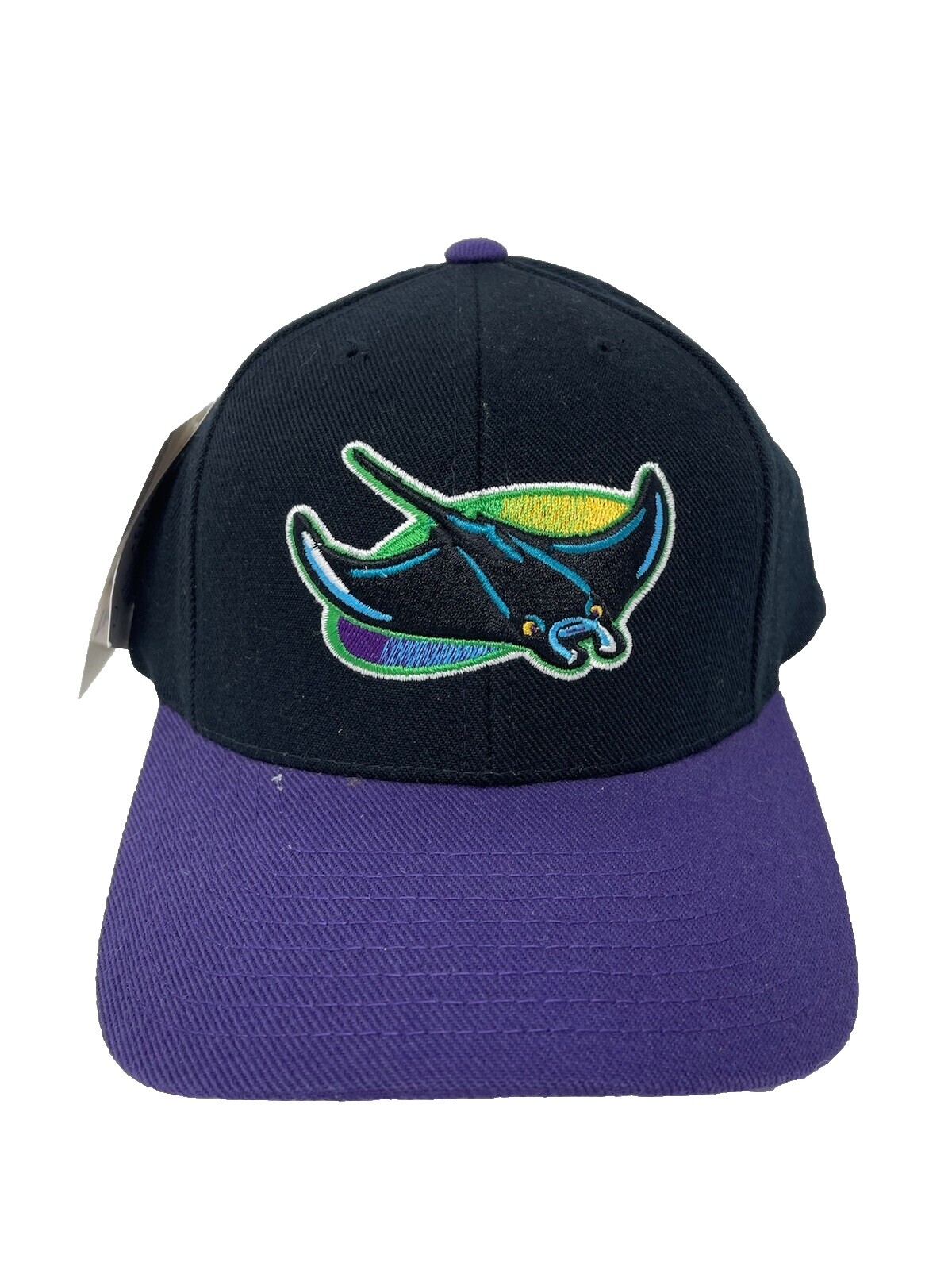 Tampa Bay Devil Rays Hat | eBay