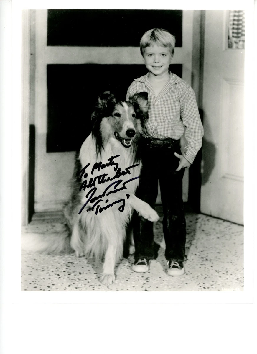Lassie Timmy Martin