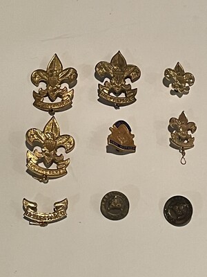 Lot of Nine (9) Vintage BSA Boy Scouts of America Pins | eBay