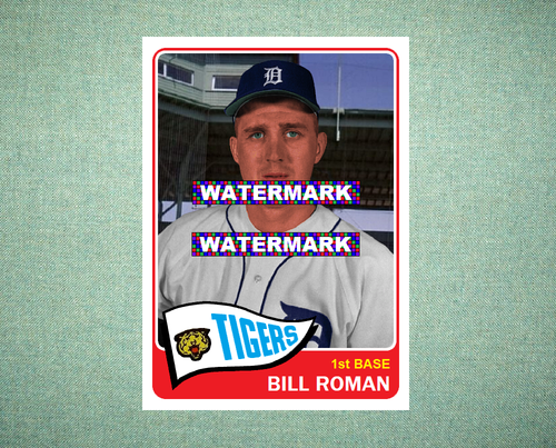 Bill Roman Detroit Tigers 1965 Style Custom Baseball Art Card | eBay