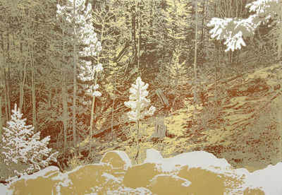 Paula Crane "High Country" Signed & Numbered Art Etching Art Print ...
