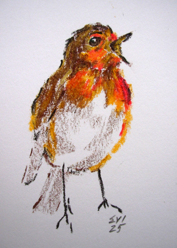Robin Original Oil Pastel Drawing Framed Artwork Bird Wall art Decor ...