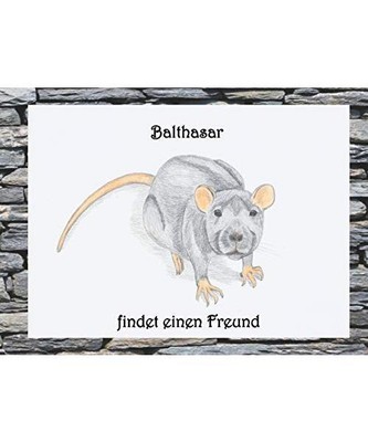 Balthasar findet einen Freund, Jasmin Wimmer | eBay