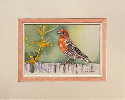 Art Original Watercolor Painting House Finch french matted Kittell ...