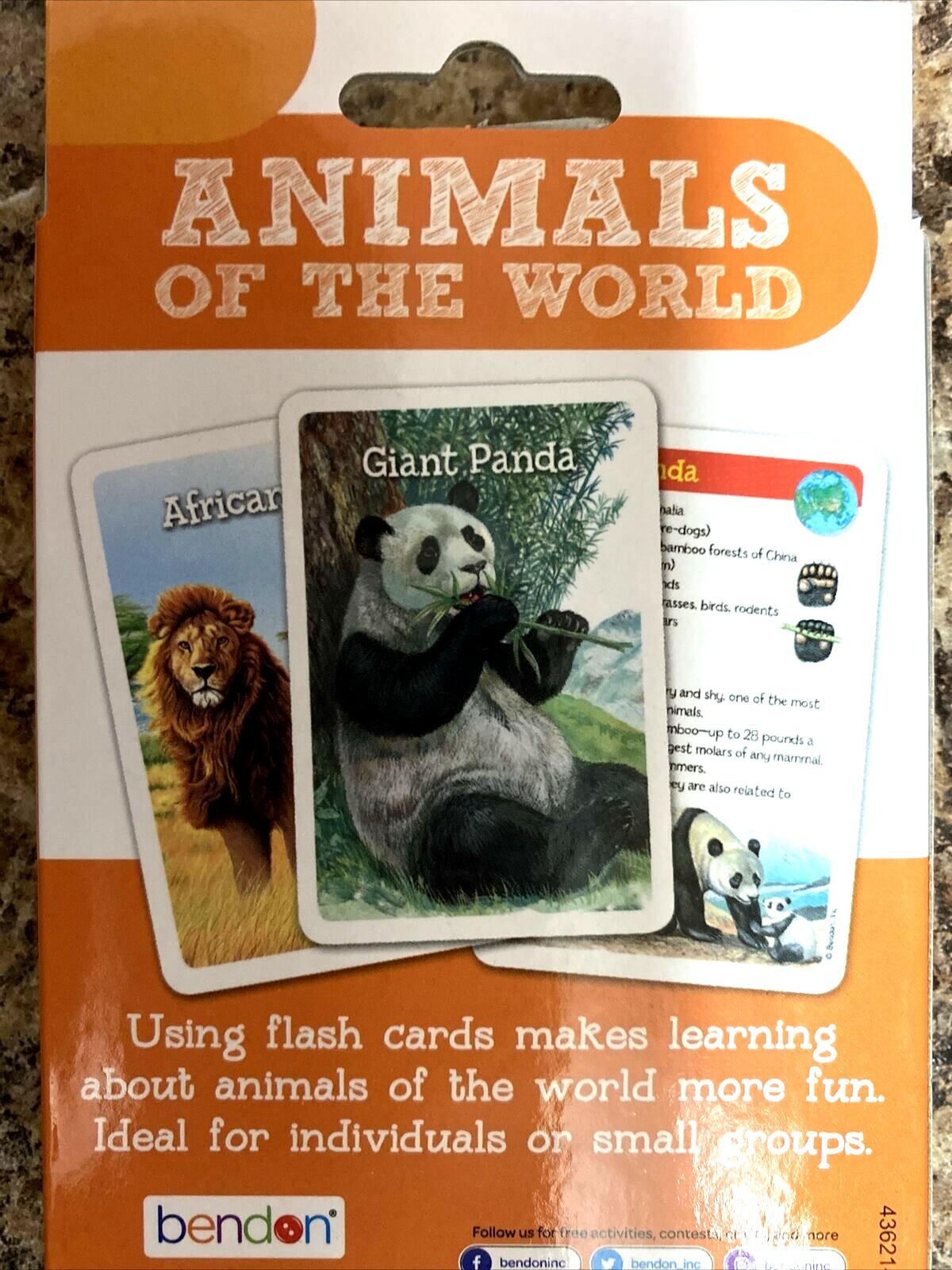 Bendon Animals, Dinosaurs, Landmarks and Space Flash Cards CHOICE - 4 ...