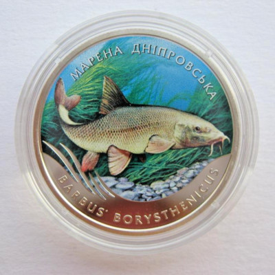 DNIEPER BARBEL Barbus Borysthenicus 2 UAH Ukraine 2018 Coin Fish Fauna ...