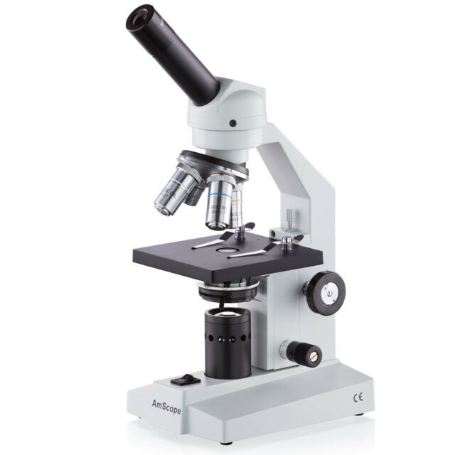 AmScope M500 40x-1000x Advanced Home School Compound Microscope for ...