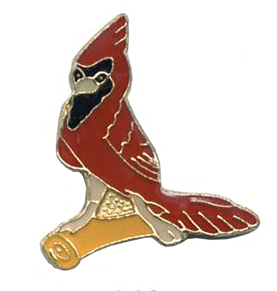 Pack of 24 Cardinal Bird Bike Motorcycle Hat Cap Lapel Pin HP1660 | eBay