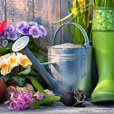 TN Treasures Top Rated Plus | eBay Stores