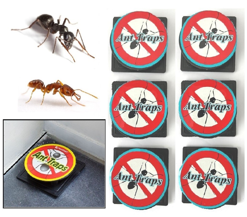 6 x Ant trap Insect Catcher Killer Trap Pest Pre-Baited Poison Free Ant ...