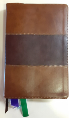 Holman CSB Holy Bible LARGE PRINT Leather Touch Christian Standard ...