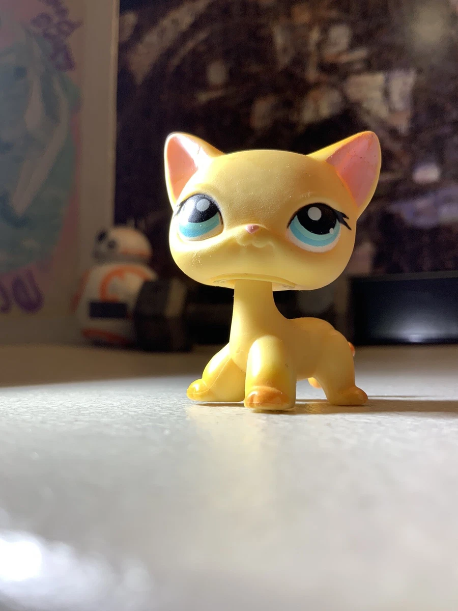 Littlest Pet Shop Cat 339