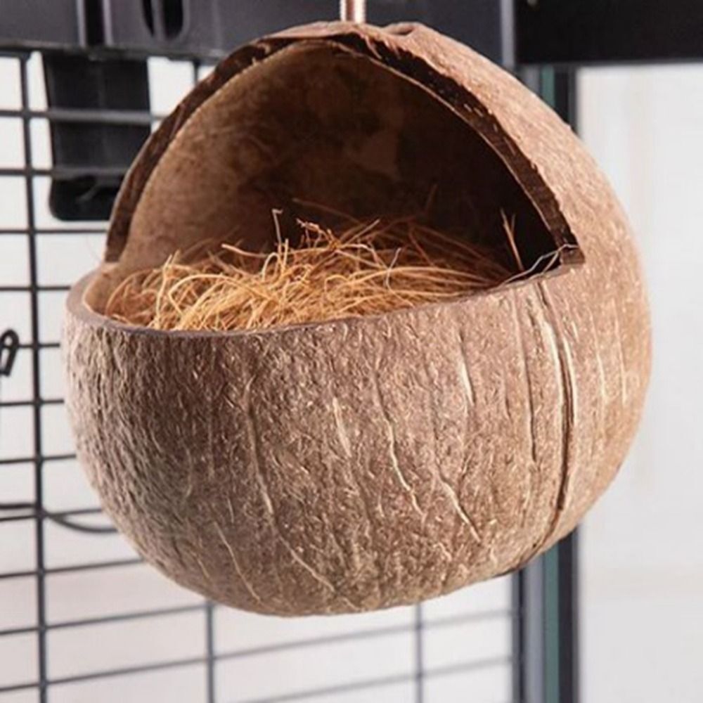 Craft Coconut Shell Bird House Unique Birdhouse Cage Habitats Parrot | eBay