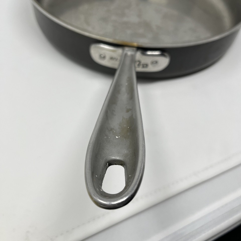 All Clad LTD Stainless Steel Anodized 13" Deep Saute Pan W/D. Handle ...